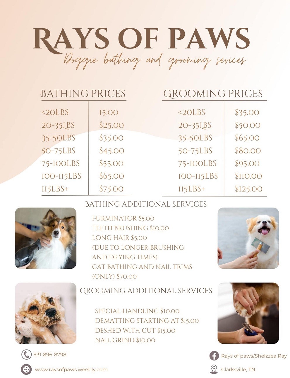 Rays of Paws Offers Dog Brush Out Services in Clarksville, TN 37040